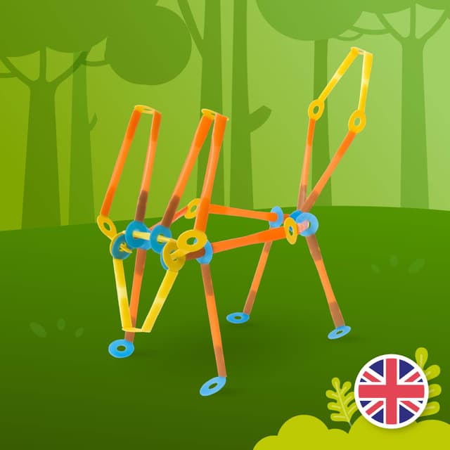 🇬🇧 Intro Temperate Forest Biome Strawbees Classroom