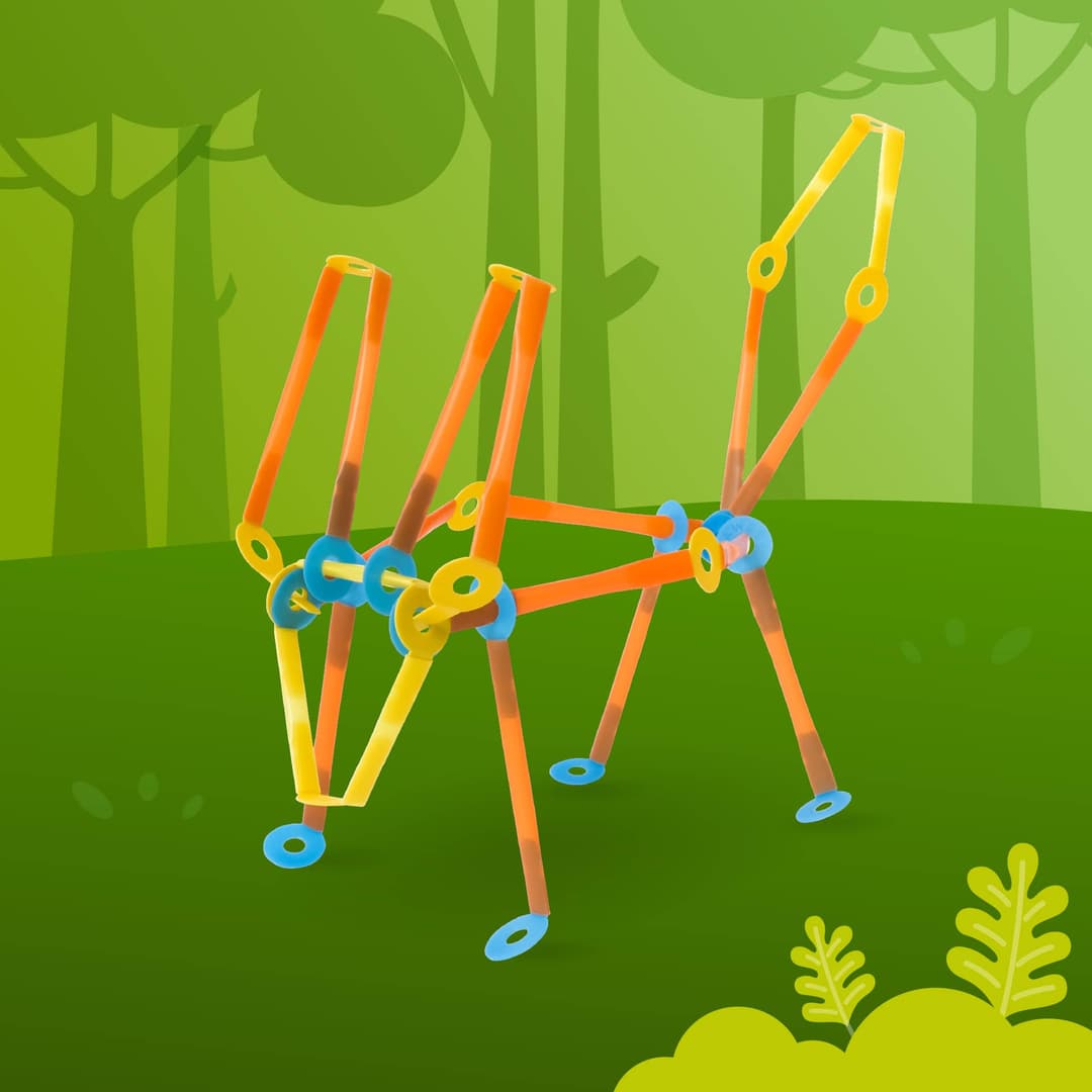 Intro Temperate Forest Biome Strawbees Classroom